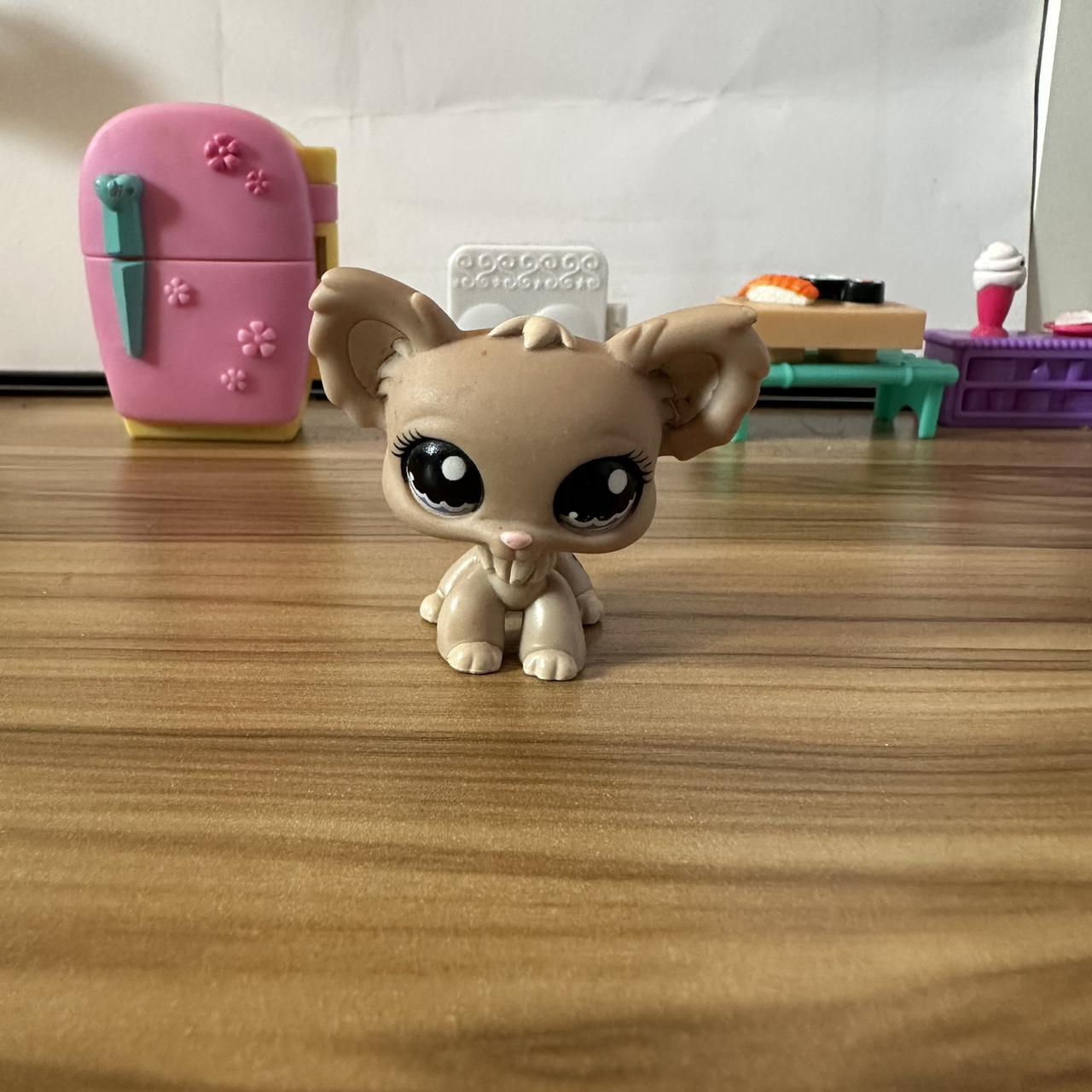 Littlest Pet Shop Rare Chihuahua #LPS... | Depop