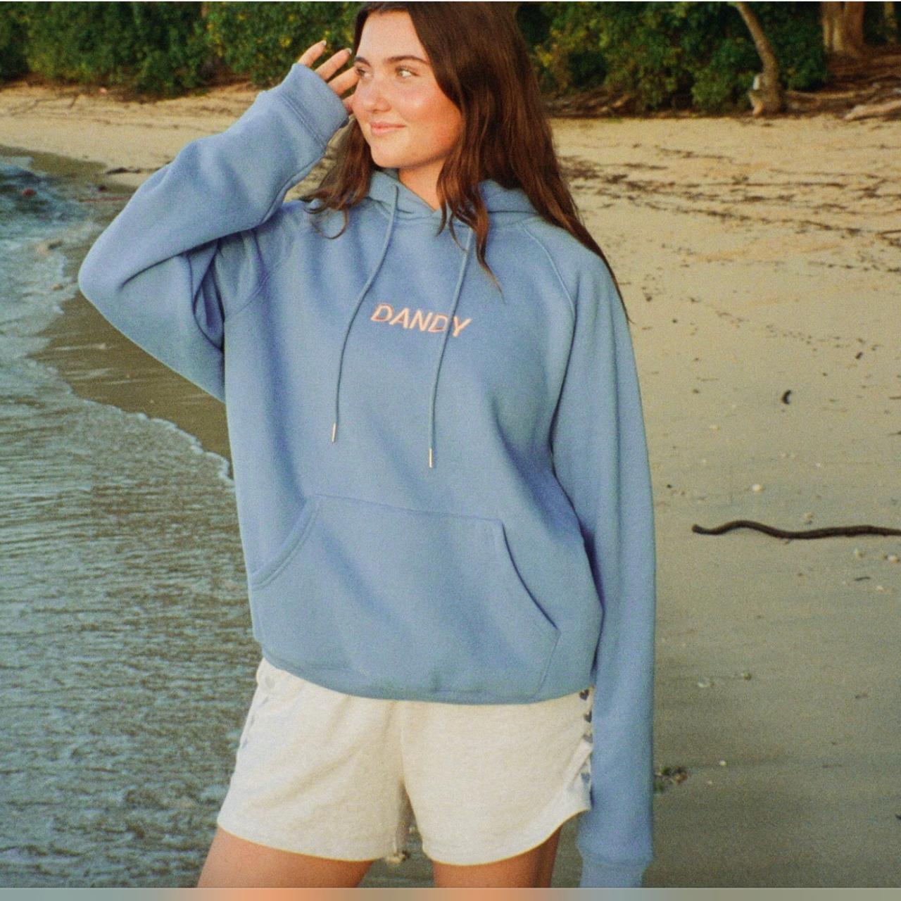 Blue Dandy Worldwide Hoodie - Depop