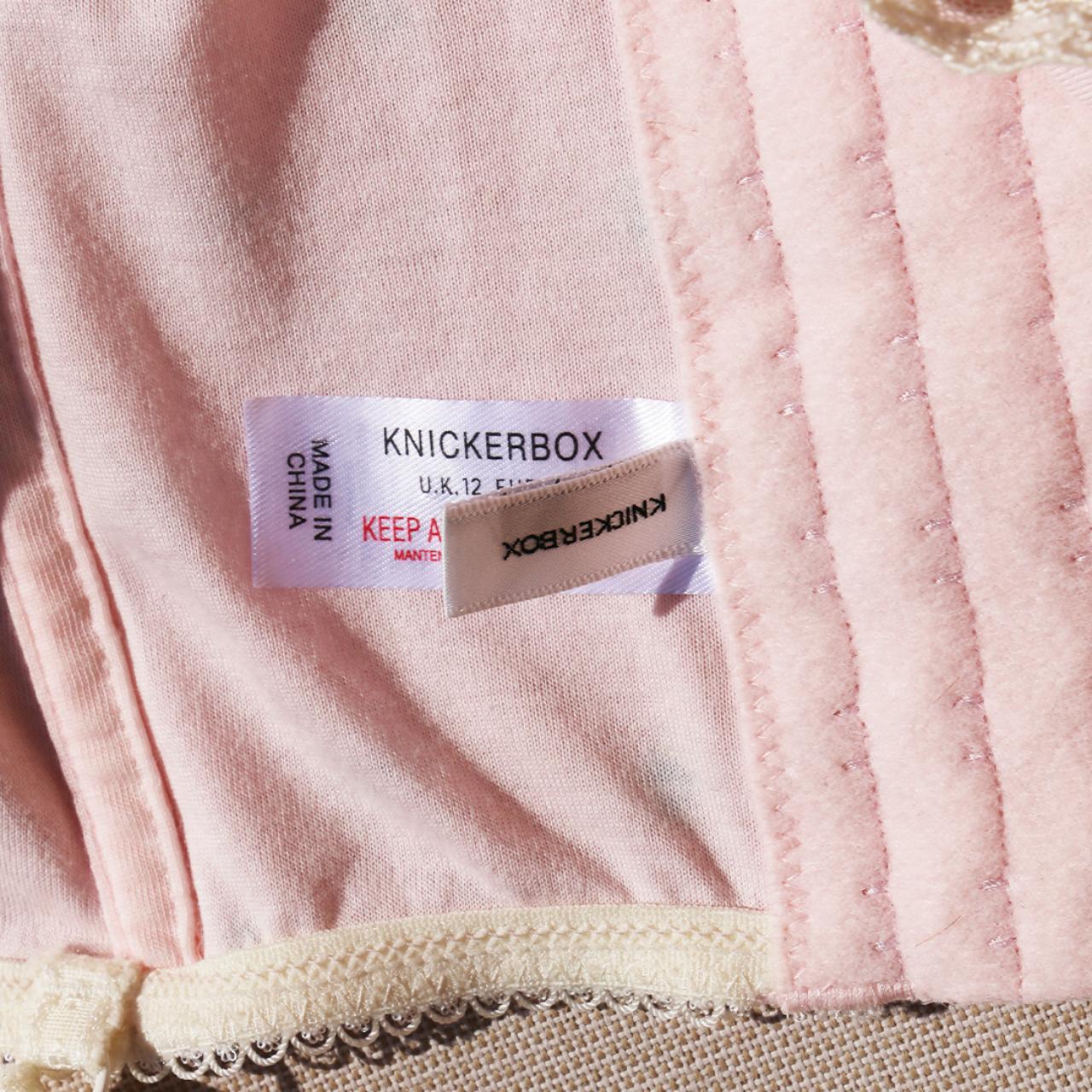 Baby pink and blue floral coquette corset vest top... | Depop