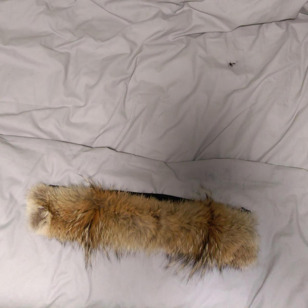 Authentic Canada goose fur (YKK zipper included - Depop