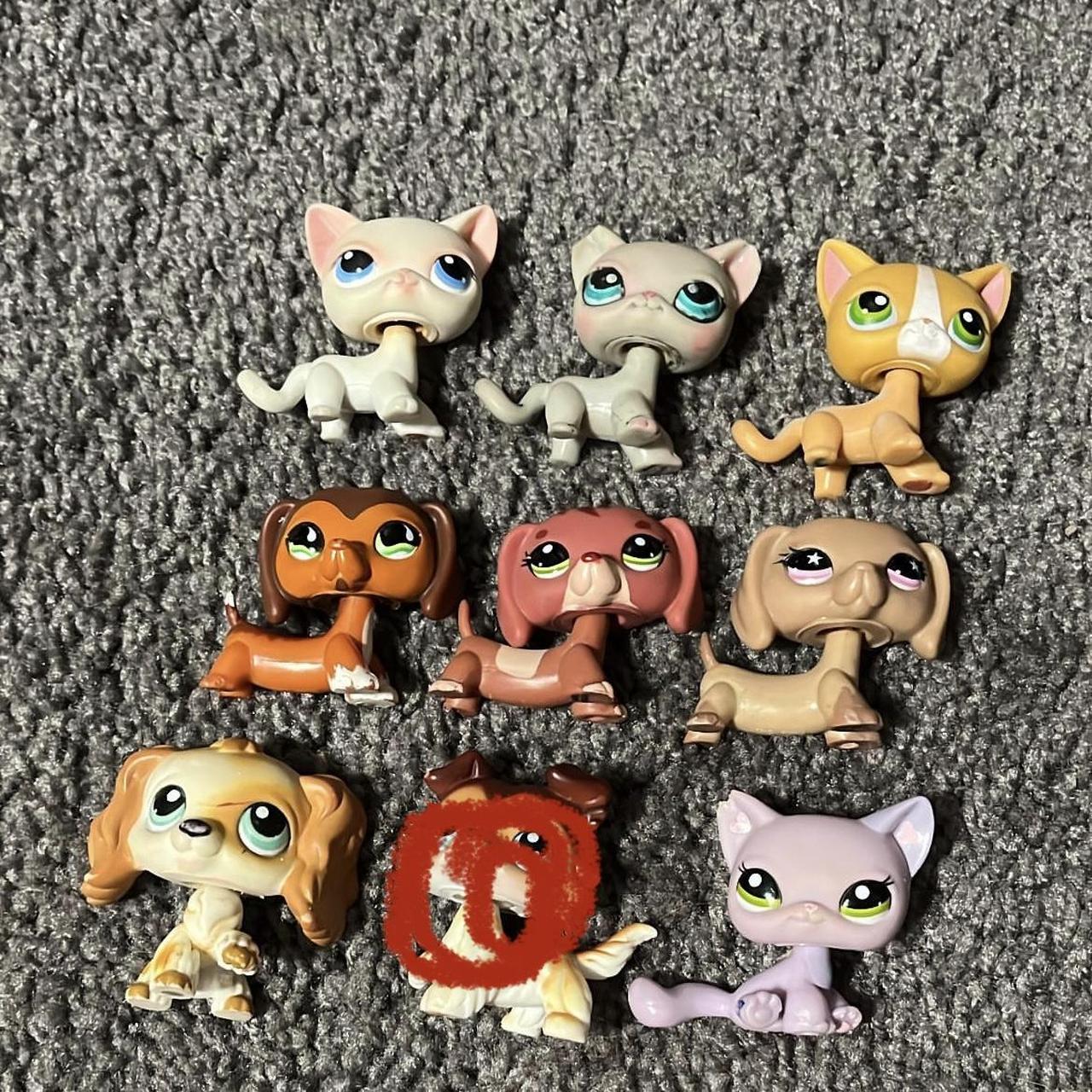 58 PAW UP AND SHORTHAIR ON TOP RIGHT... - Depop