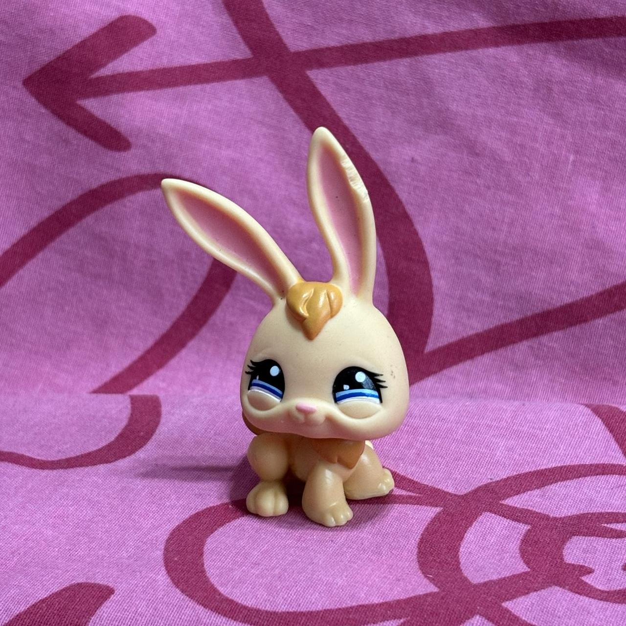 LPS Littlest Pet Shop Sassiest Shorthair Pink Purple... | Depop