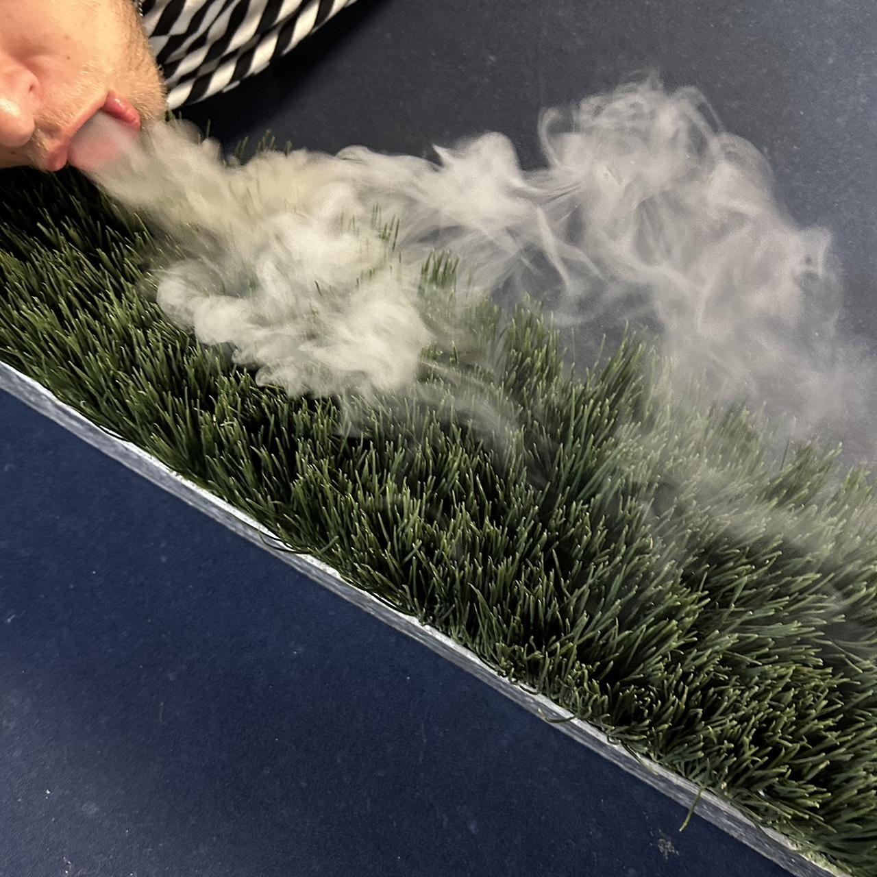 sam and some grass tap in w offers my little foe nem - Depop