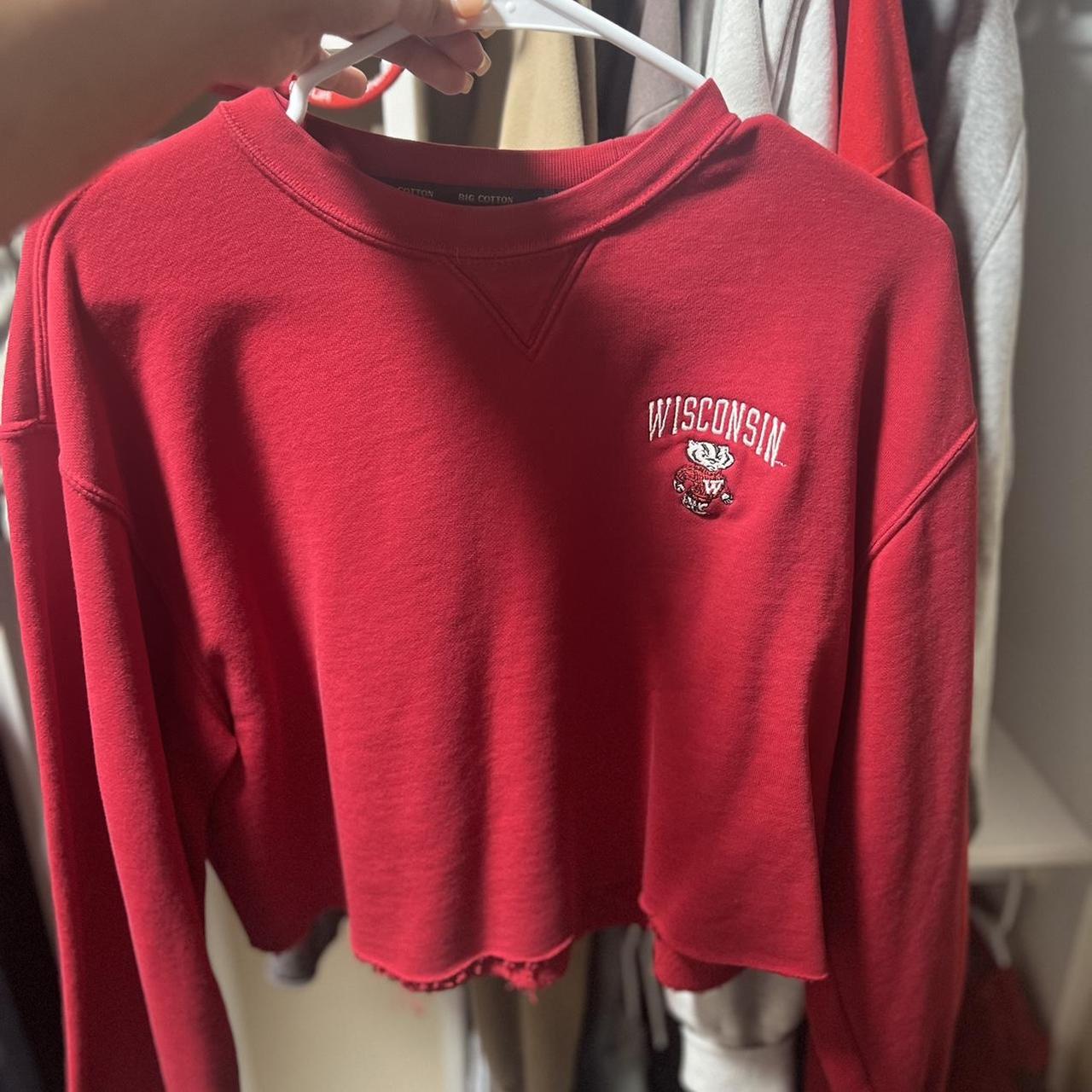 university of wisconsin cropped crewneck - Depop