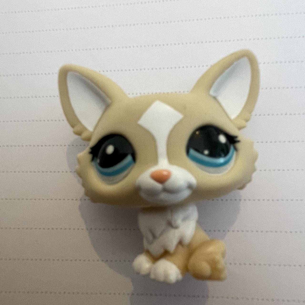 Littlest pet shop corgi - Depop
