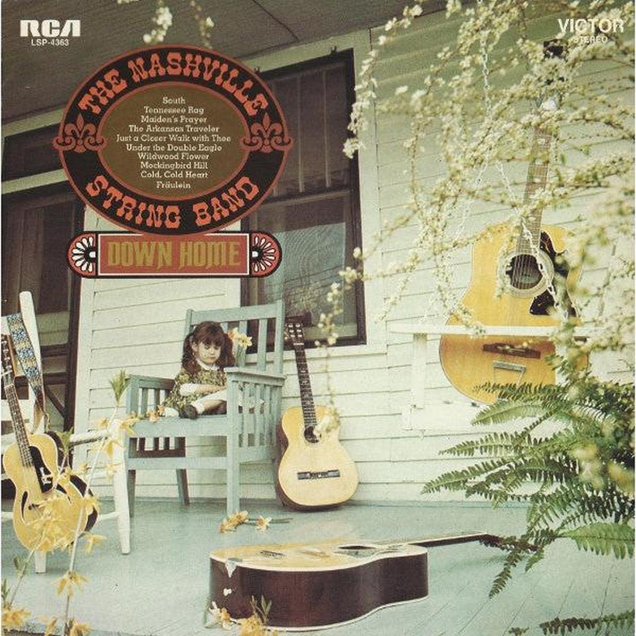 The Nashville String Band - Down Home (LP) Media... - Depop
