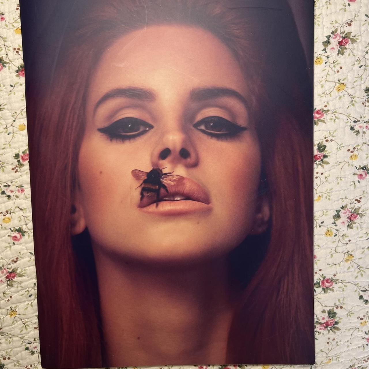 RARE Lana Del Rey Paradise Era Vision book bought on... - Depop