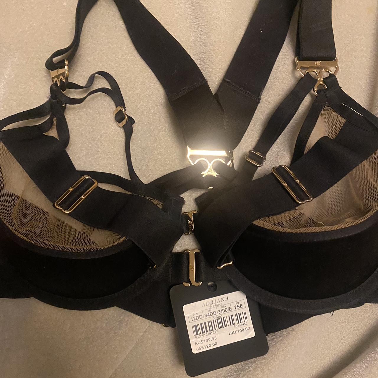 NWT honey birdette 34DD bra. Complete with mesh... - Depop