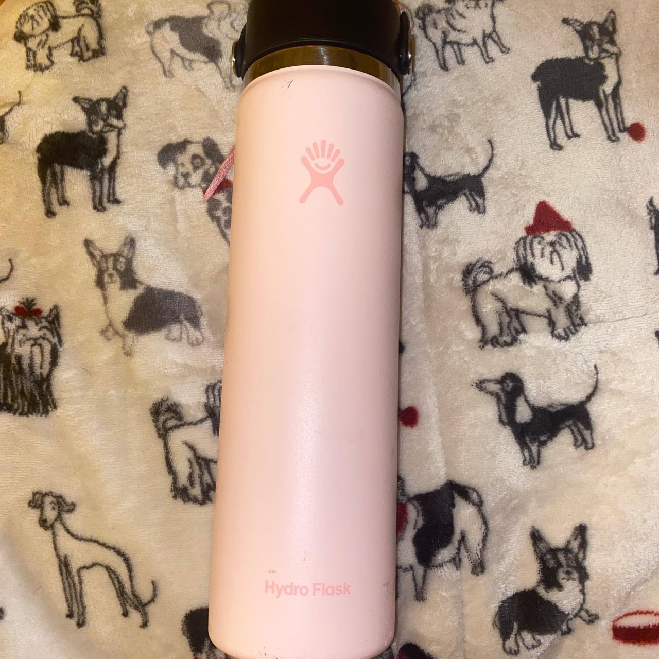 Pink 24 oz. Hydro Flask. Comes with straw - Depop