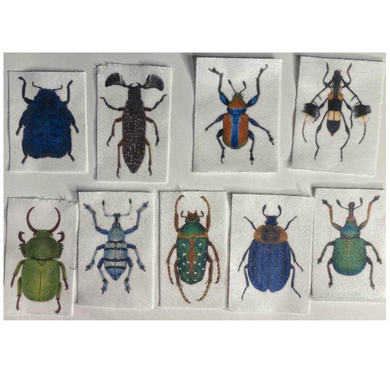 🕷🪲 🕷 ASSORTED BUG SEW ON PATCHES 🪲🕷🪲 printed on a... - Depop