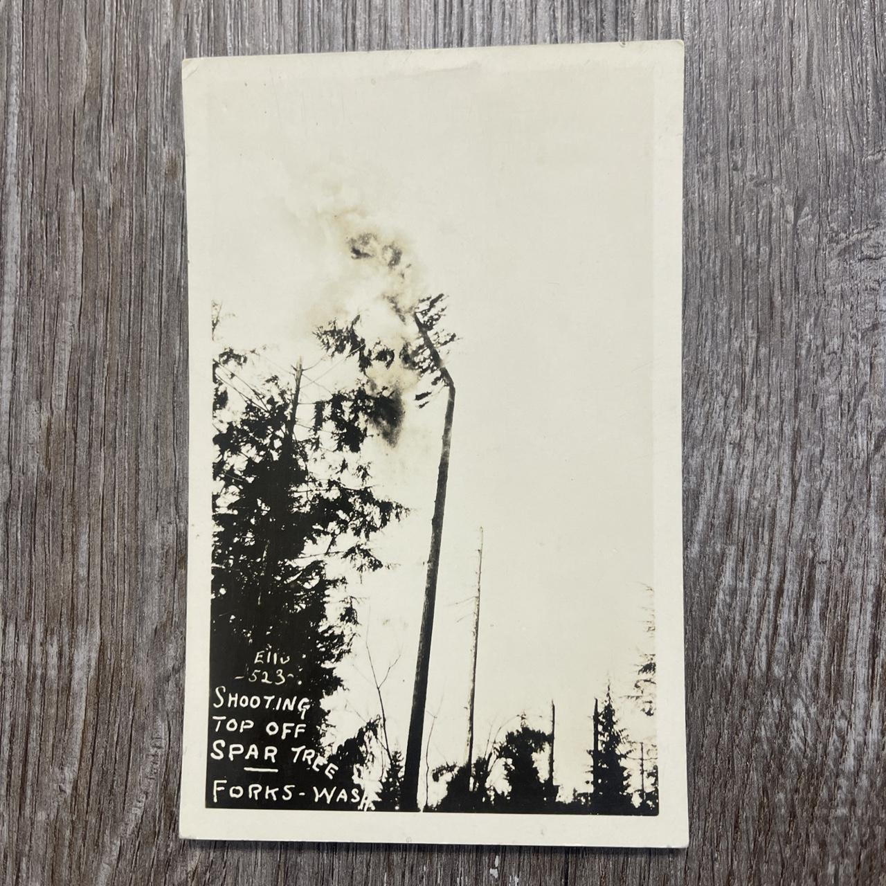 RPPC Shooting Top Off Spar Tree Forks, Washington... - Depop