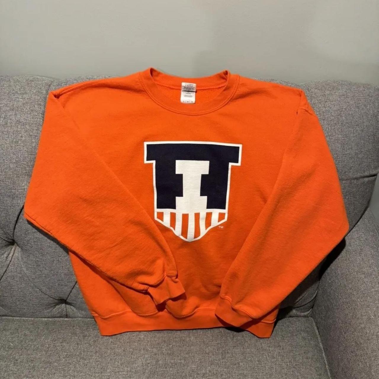 Gildan University of Illinois Urbana-Champaign... - Depop