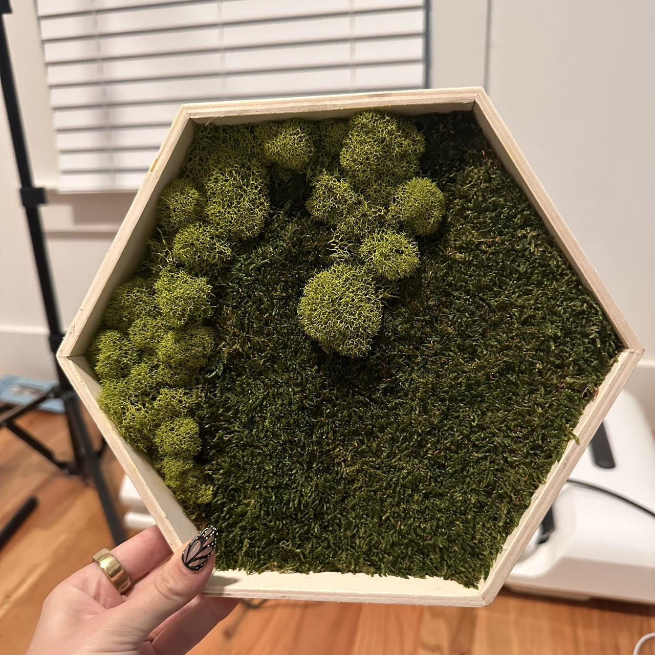 Handmade preserved moss hexagon wall art Comes... - Depop