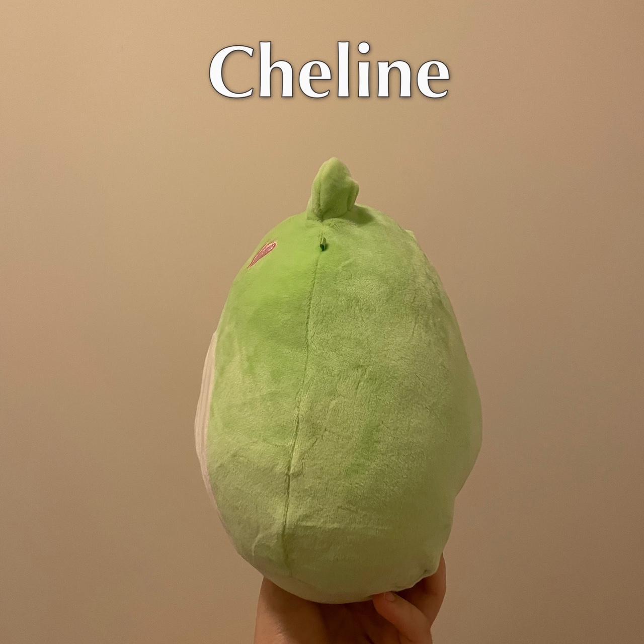 Squishmallow 8” philippe the frog - no bio tag, butt... - Depop