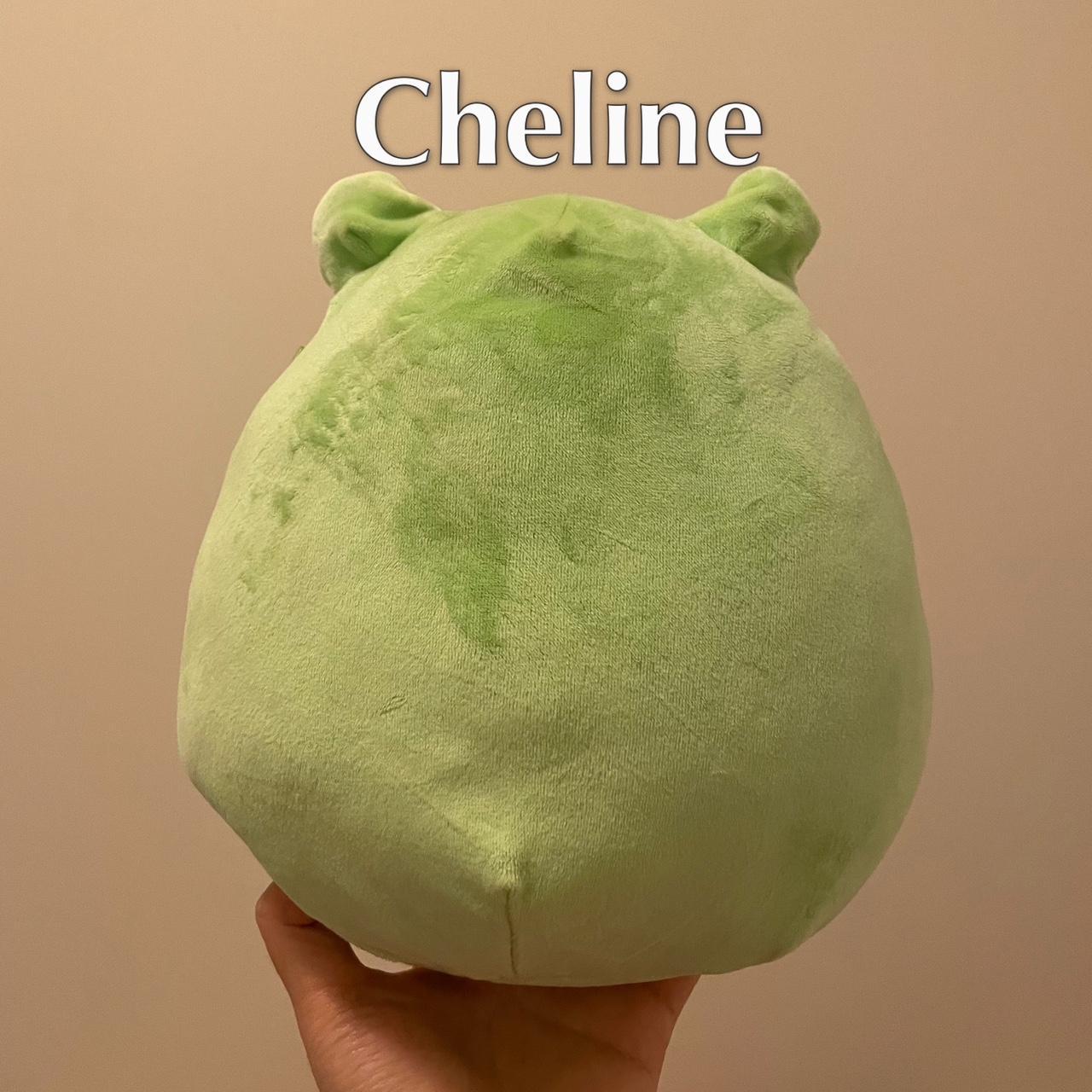 Squishmallow 8” philippe the frog - no bio tag, butt... - Depop