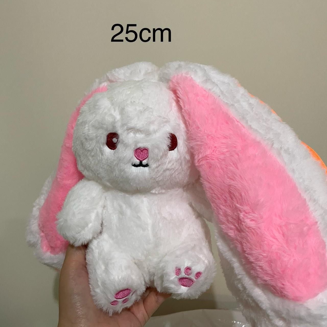 Rabbit / Carrot Plush Rough 25cm - Brand New - Depop
