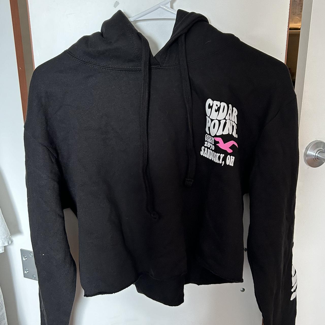 cropped Cedar Point hoodie from the park • never... - Depop