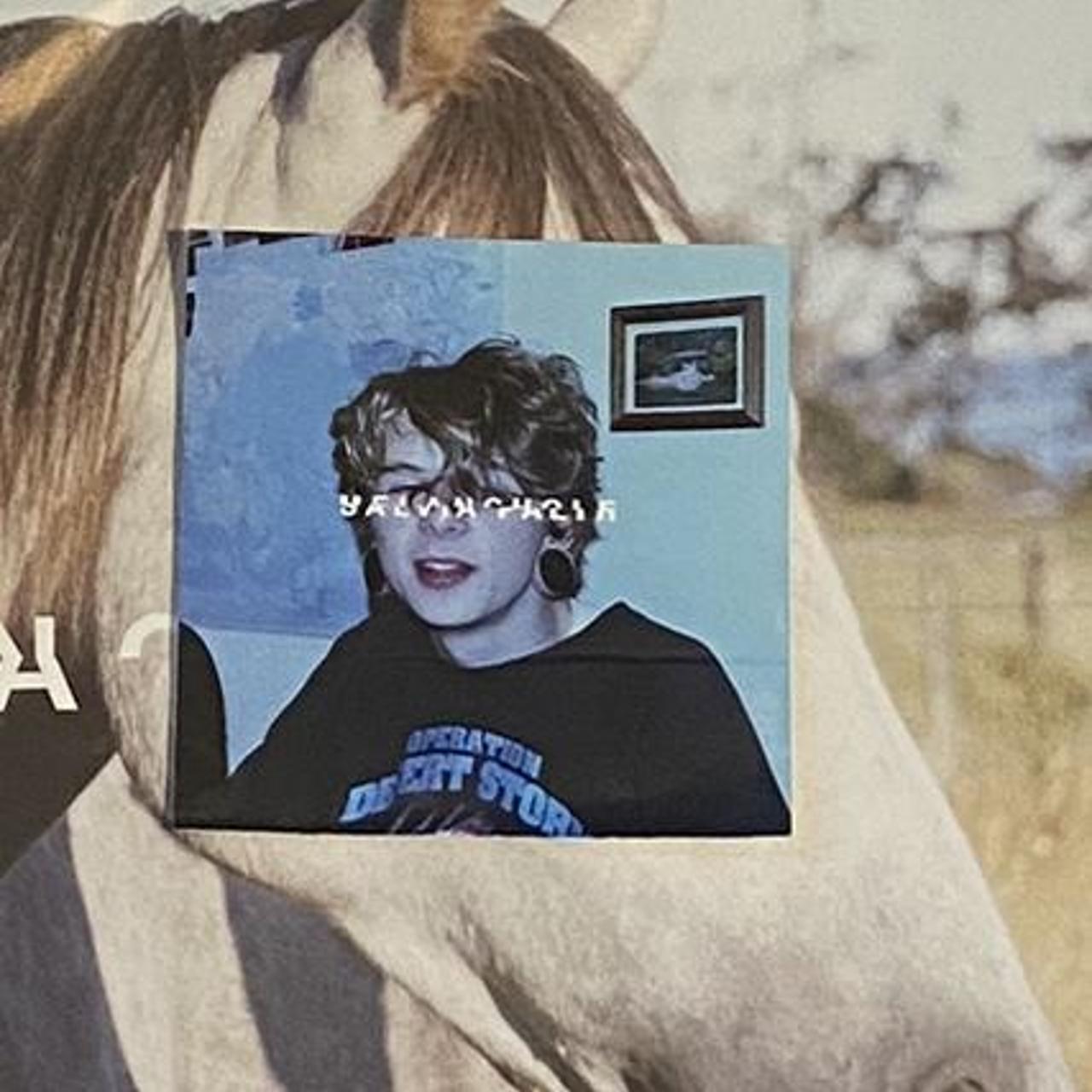 salvia palth melanchole vinyl album unopened!!... - Depop