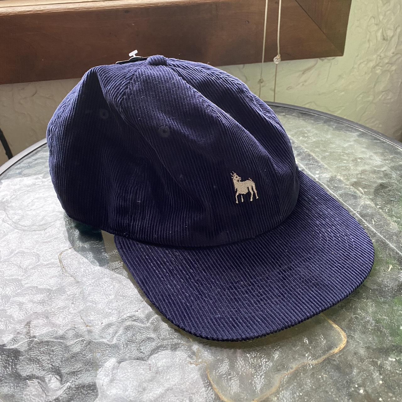 official Sandy Alex G merch corduroy baseball cap,... - Depop
