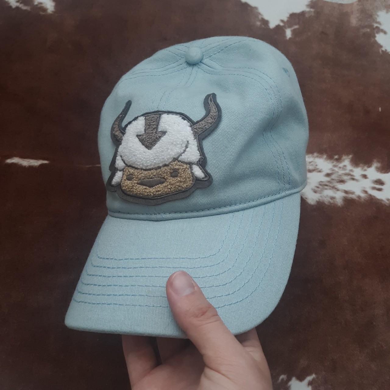 Avatar the Last Airbender hat featuring cute fuzzy... - Depop