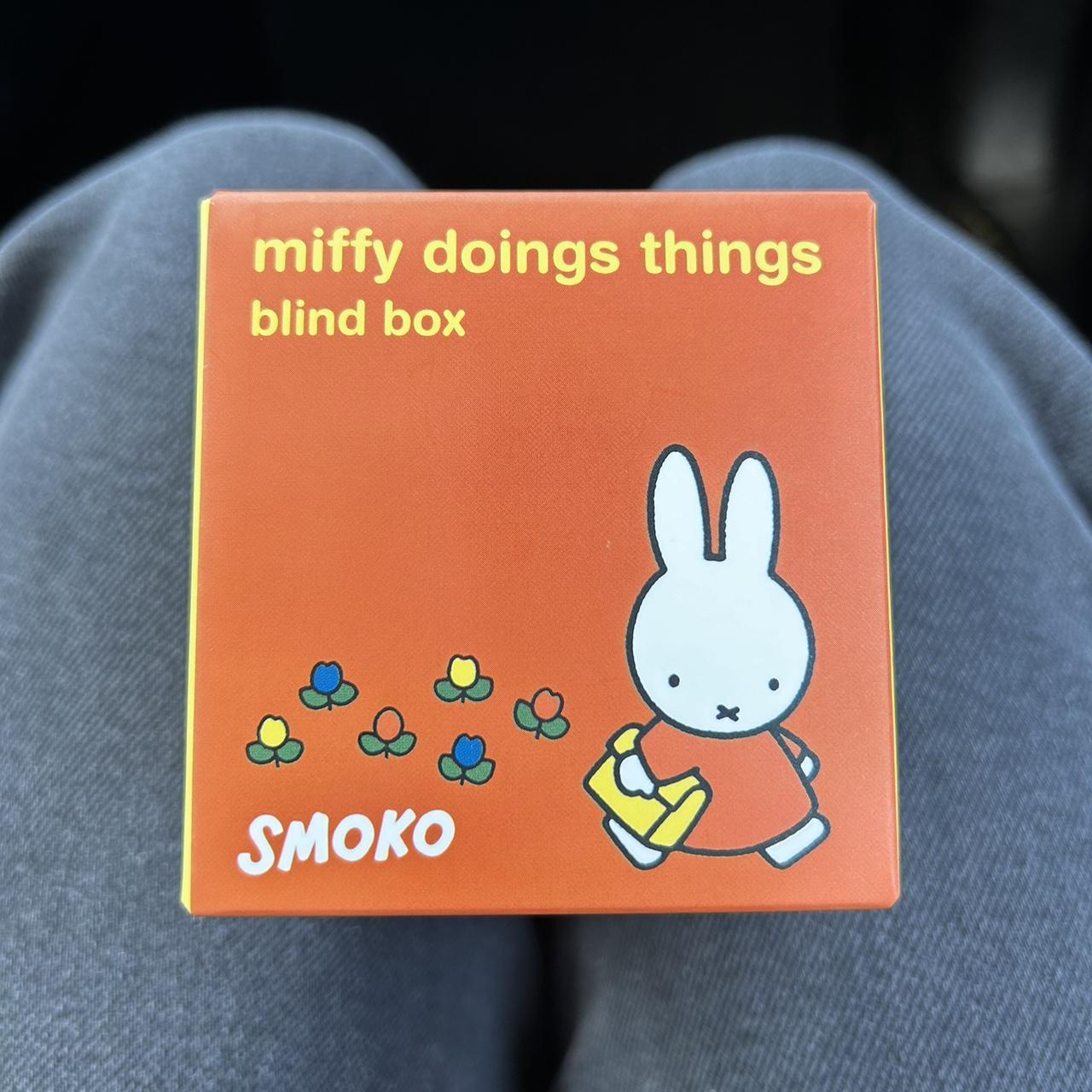 ~ miffy in the pool ~ miffy doing things surprise box - Depop