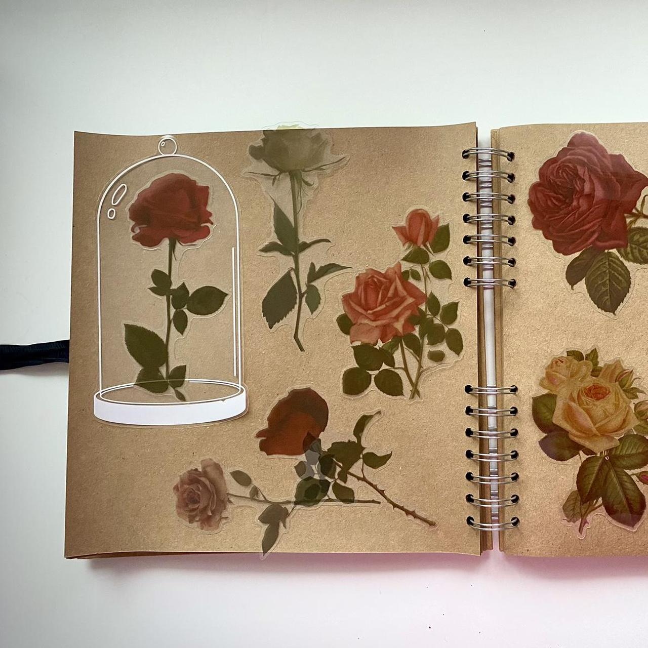 Set of 11 gorgeous roses vintage style Transparent... - Depop