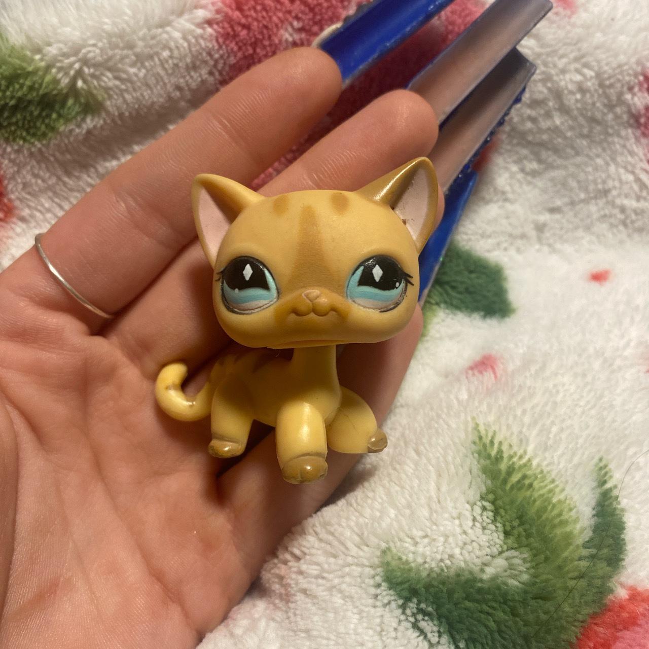 lps shorthair - Depop