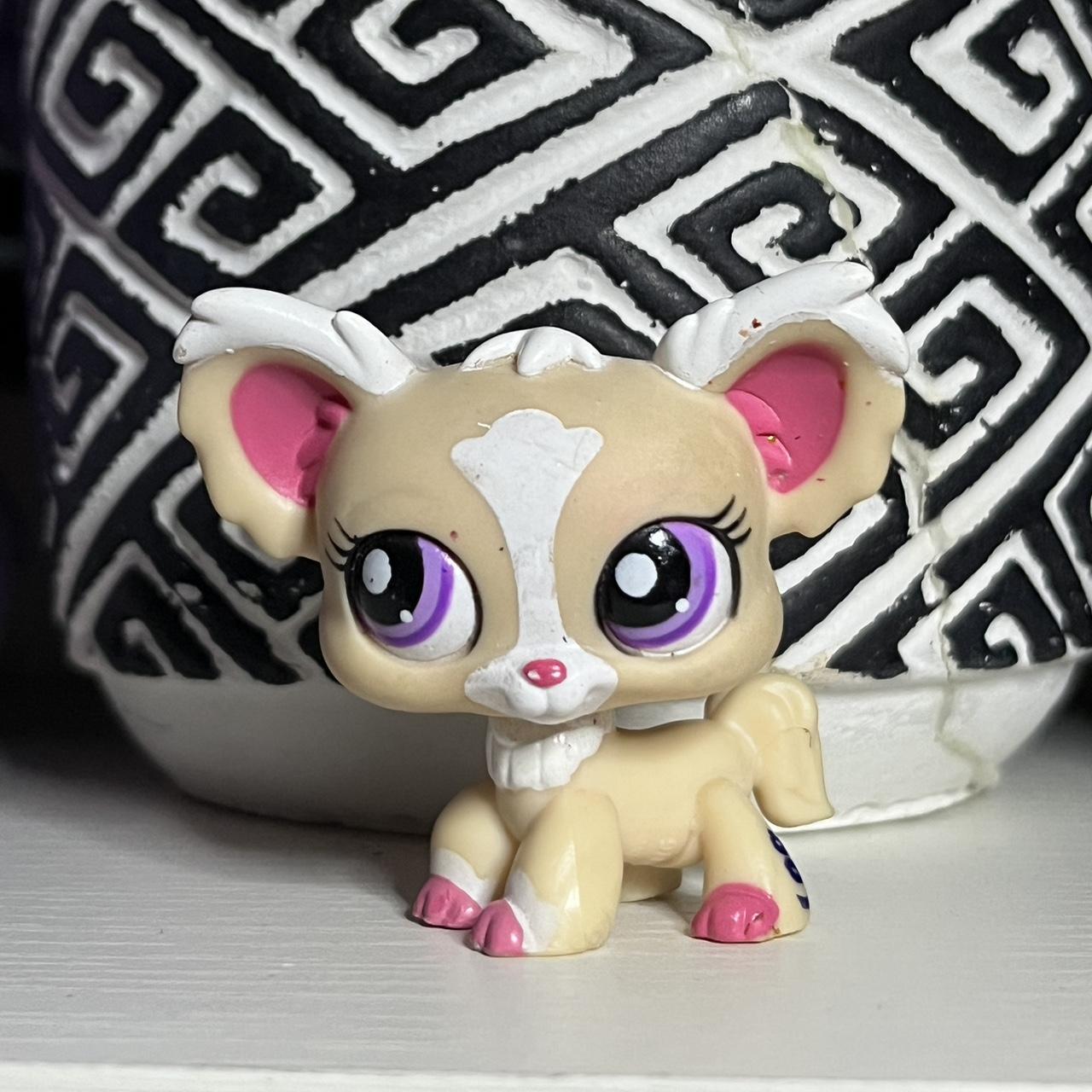 LPS chihuahua 💗 Authentic- fair condition #lps... - Depop