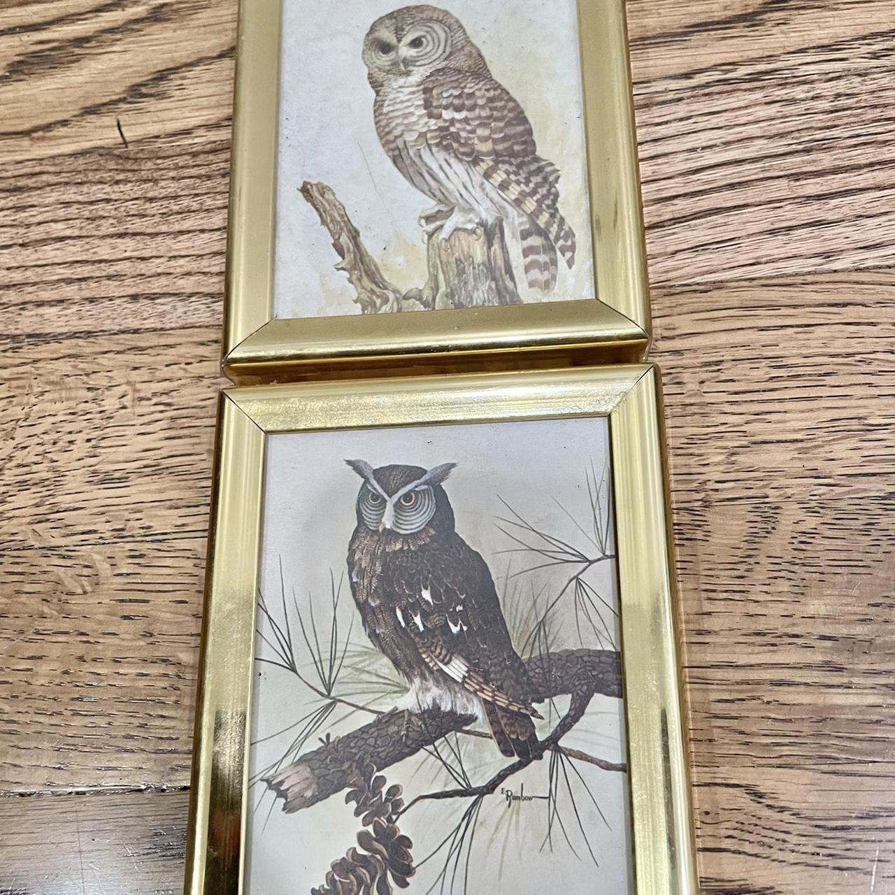 Pair of Vintage E Rambow Owl Prints Picture Art... | Depop