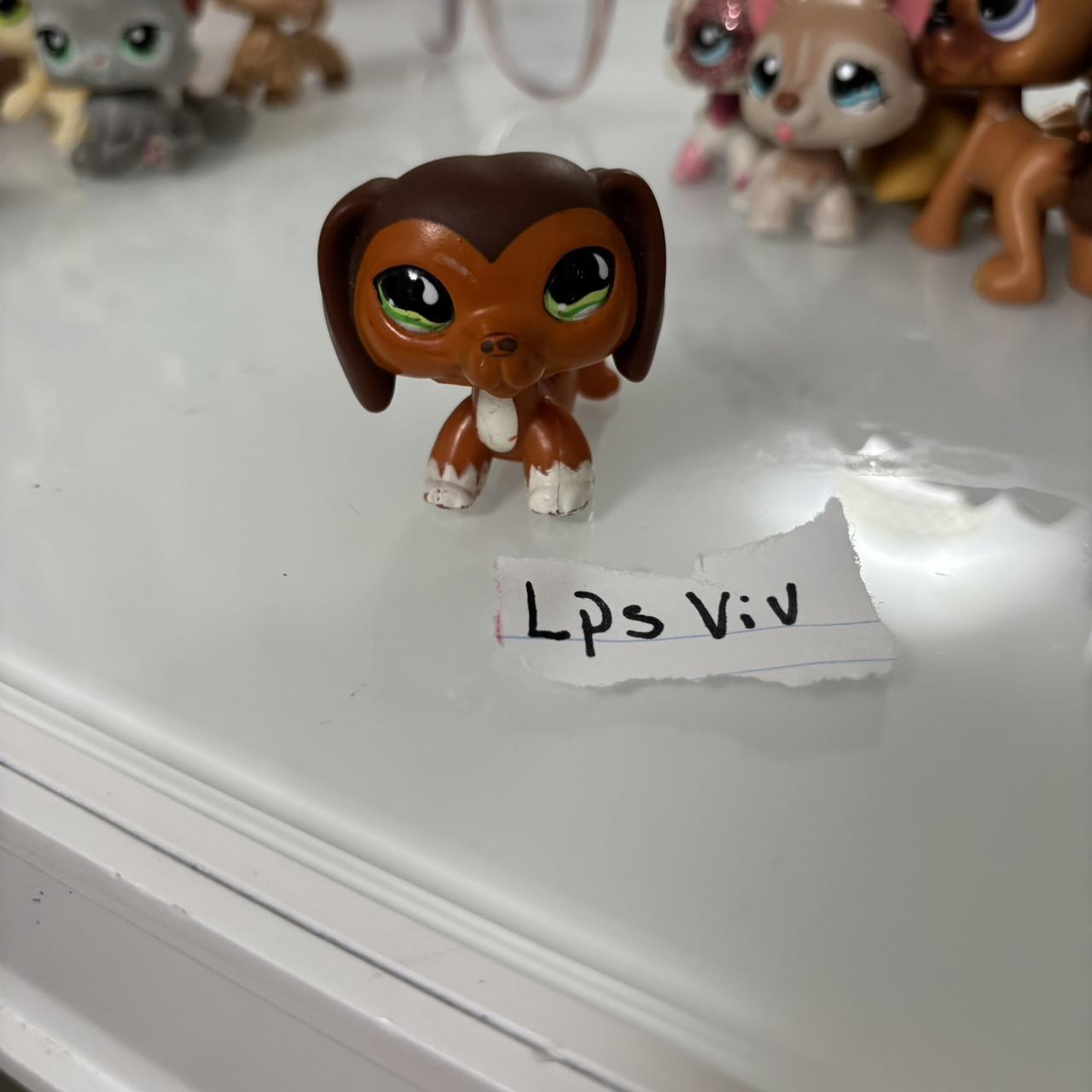 FOR TRADE ONLY trading AUTHENTIC lps #675 for main... | Depop