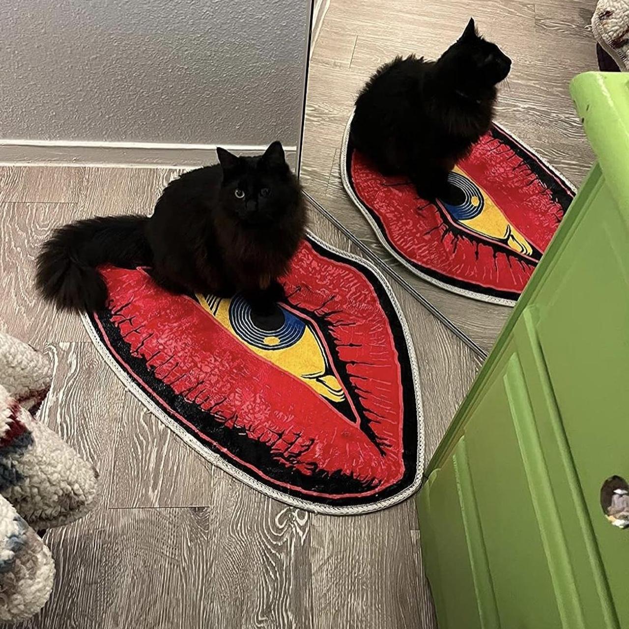 Aesthetic Lips rug Brand new - Depop