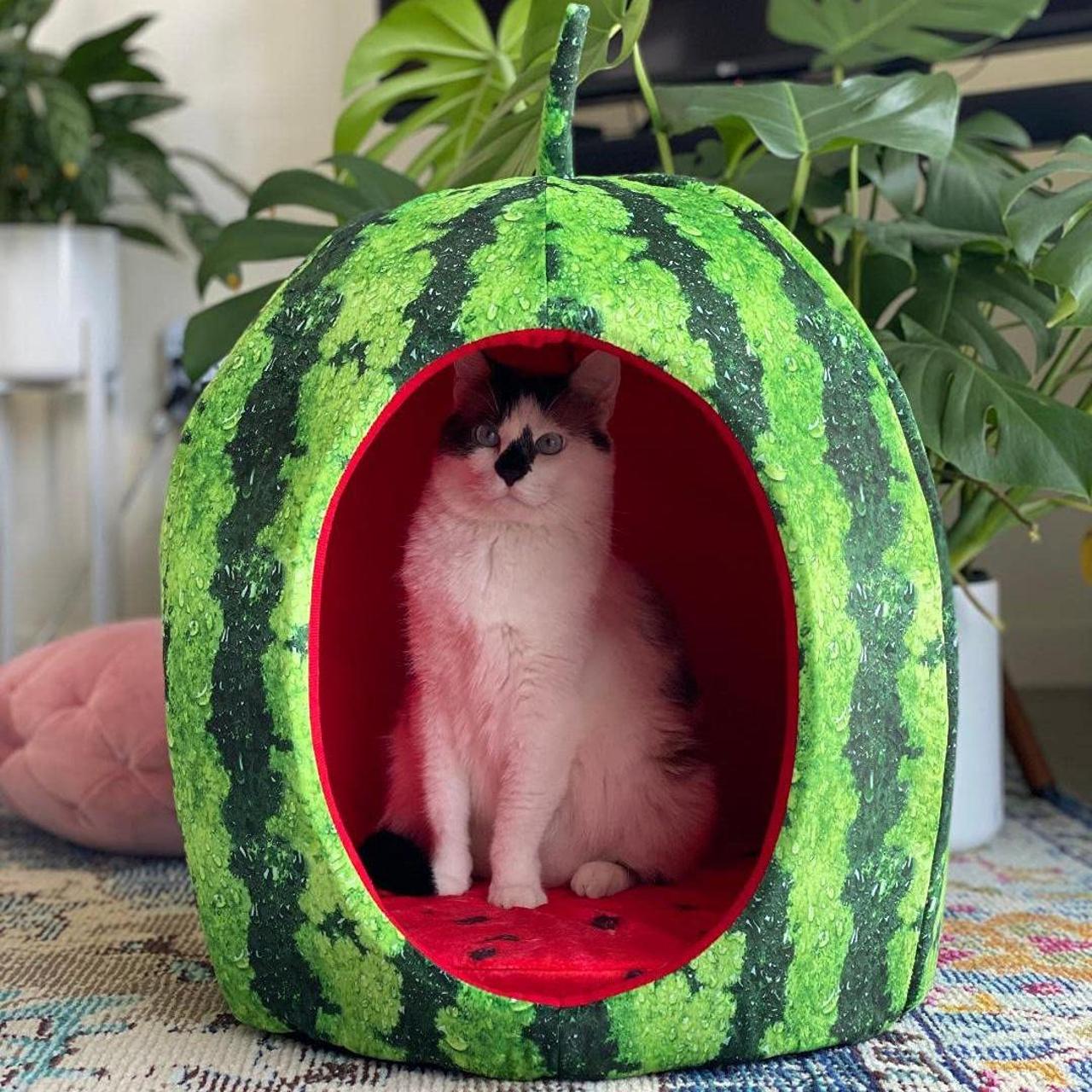 YML Group Selling BRAND NEW & UNOPENED Watermelon... - Depop