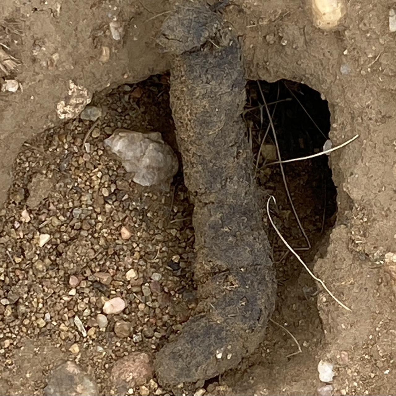 Vintage dog poop from 1805 - Depop