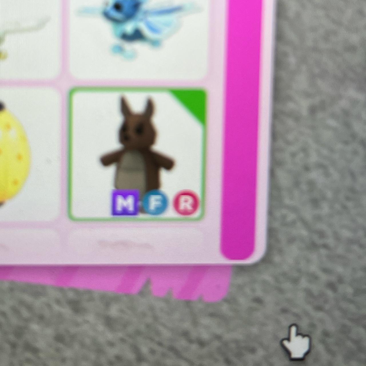 Mega fly ride kangaroo virtual pet no refunds or... - Depop