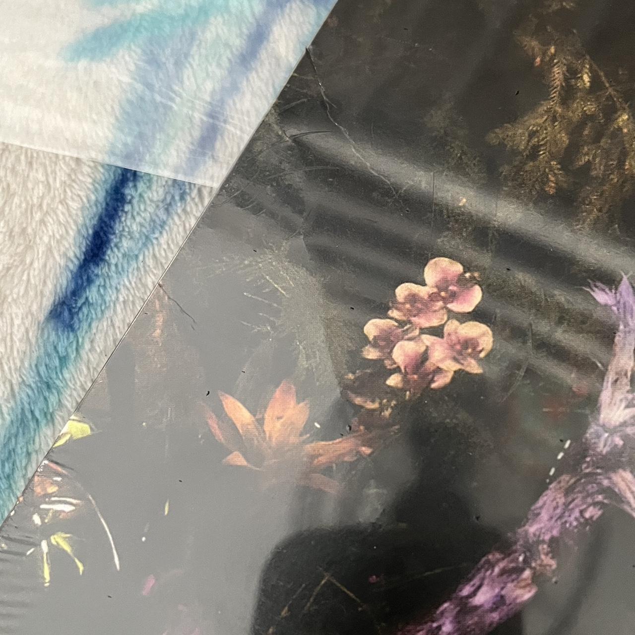 Melanie Martinez Limited Edition Portals ruby red... - Depop