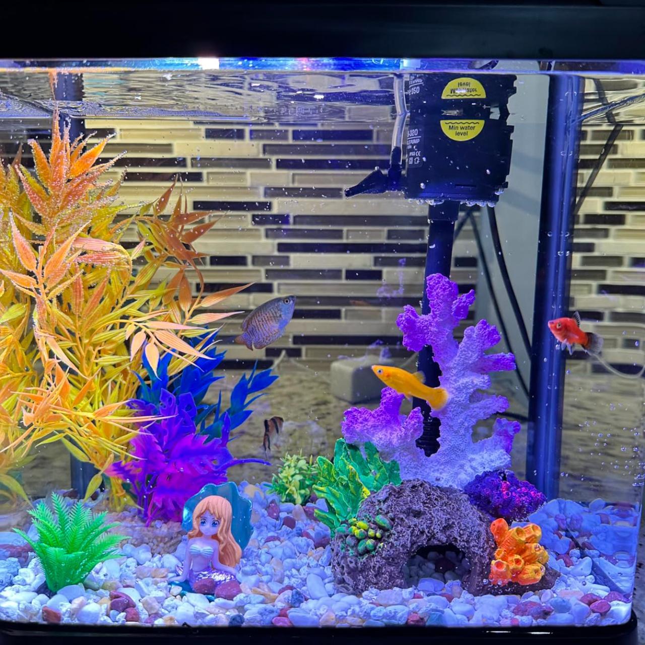 Perfect Starter Kit: This 4-gallon desktop fish tank... - Depop