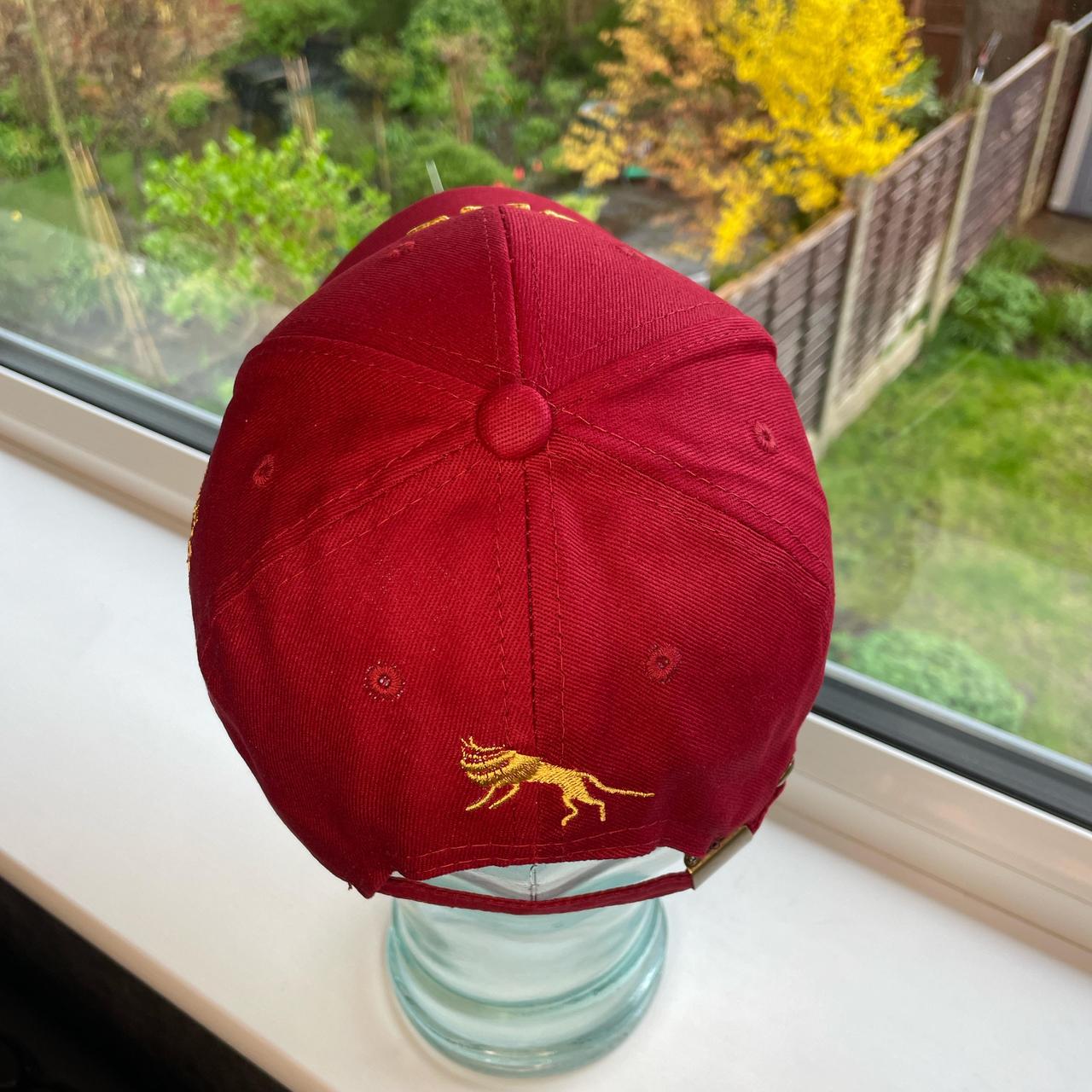 Brand new Wolf M baseball cap. Adults adjustable... - Depop