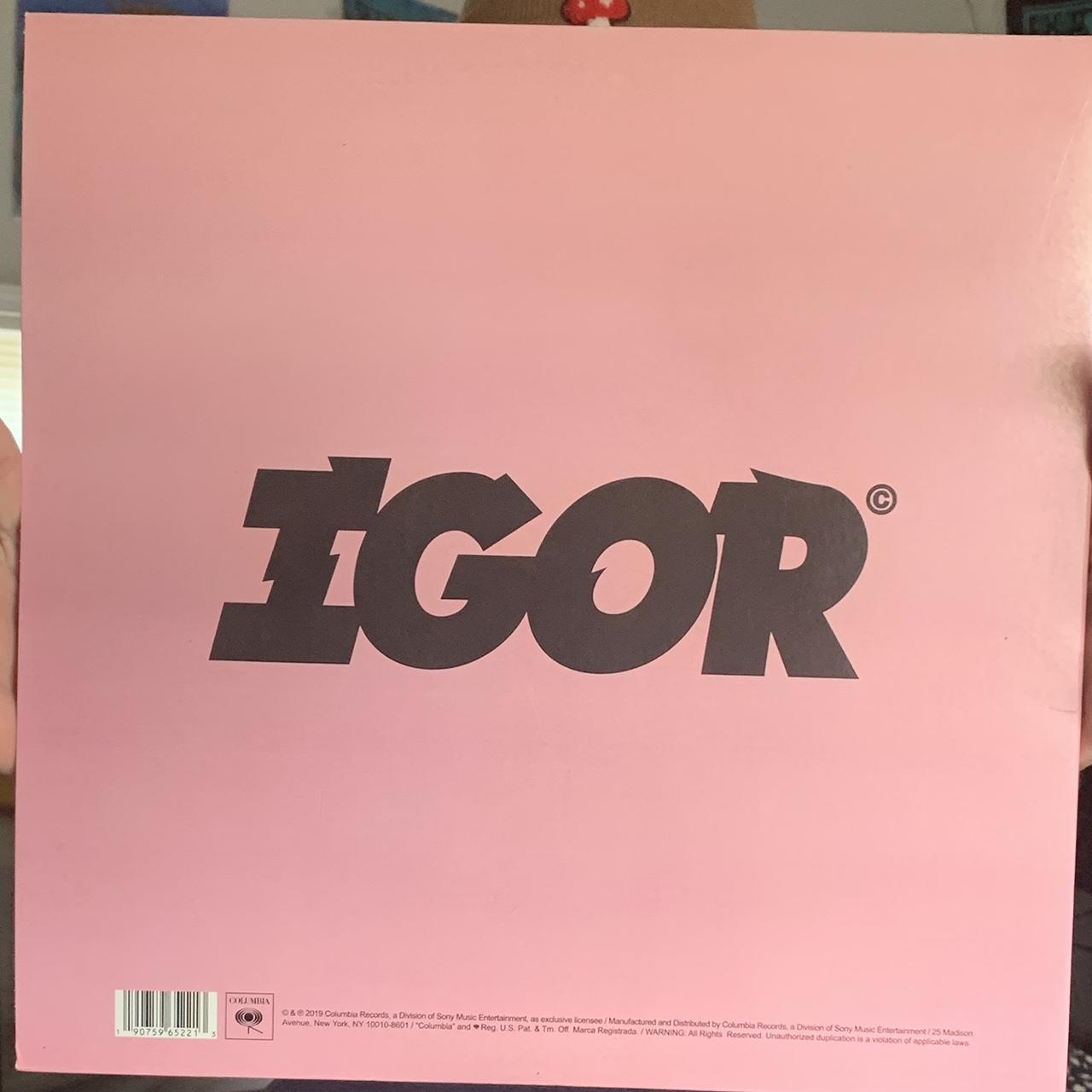 Tyler, The Creator IGOR Vinyl ~No damage done ~spun... - Depop
