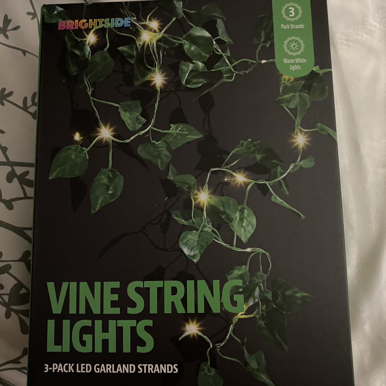 vine decoration for room super cute but i already... - Depop