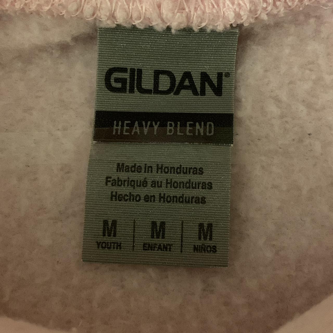 Albert Flamingo Merch 2020 FlimFlam Pink UFO Hoodie... - Depop