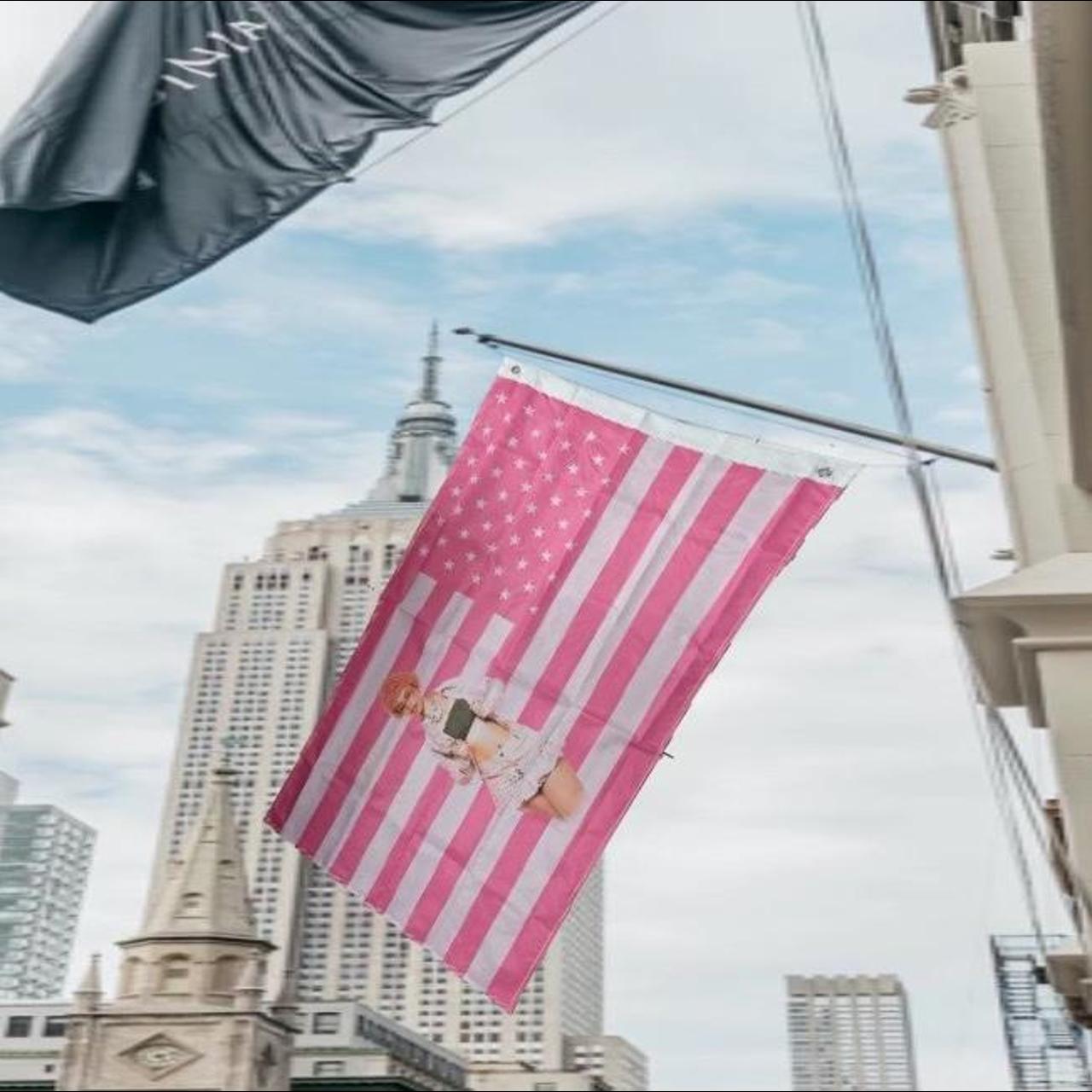 Ice spice pink 3x5 feet flag. #icespice #baddie #deli - Depop