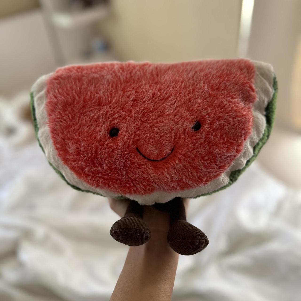 Amuseable watermelon ️🍉 ️ Sold out online ️ Same... | Depop