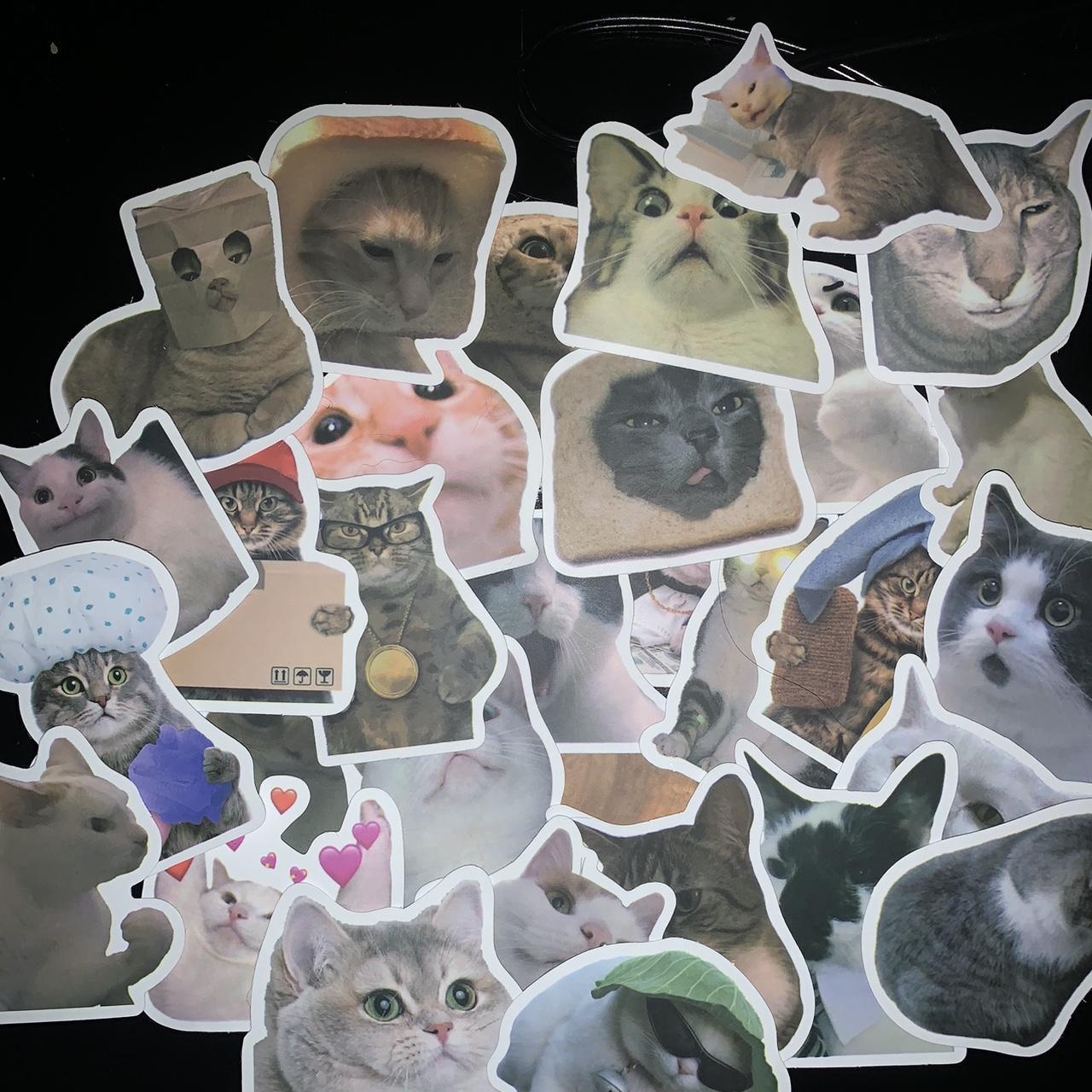 Cat meme stickers!! -10 per order:) - so cute -... - Depop