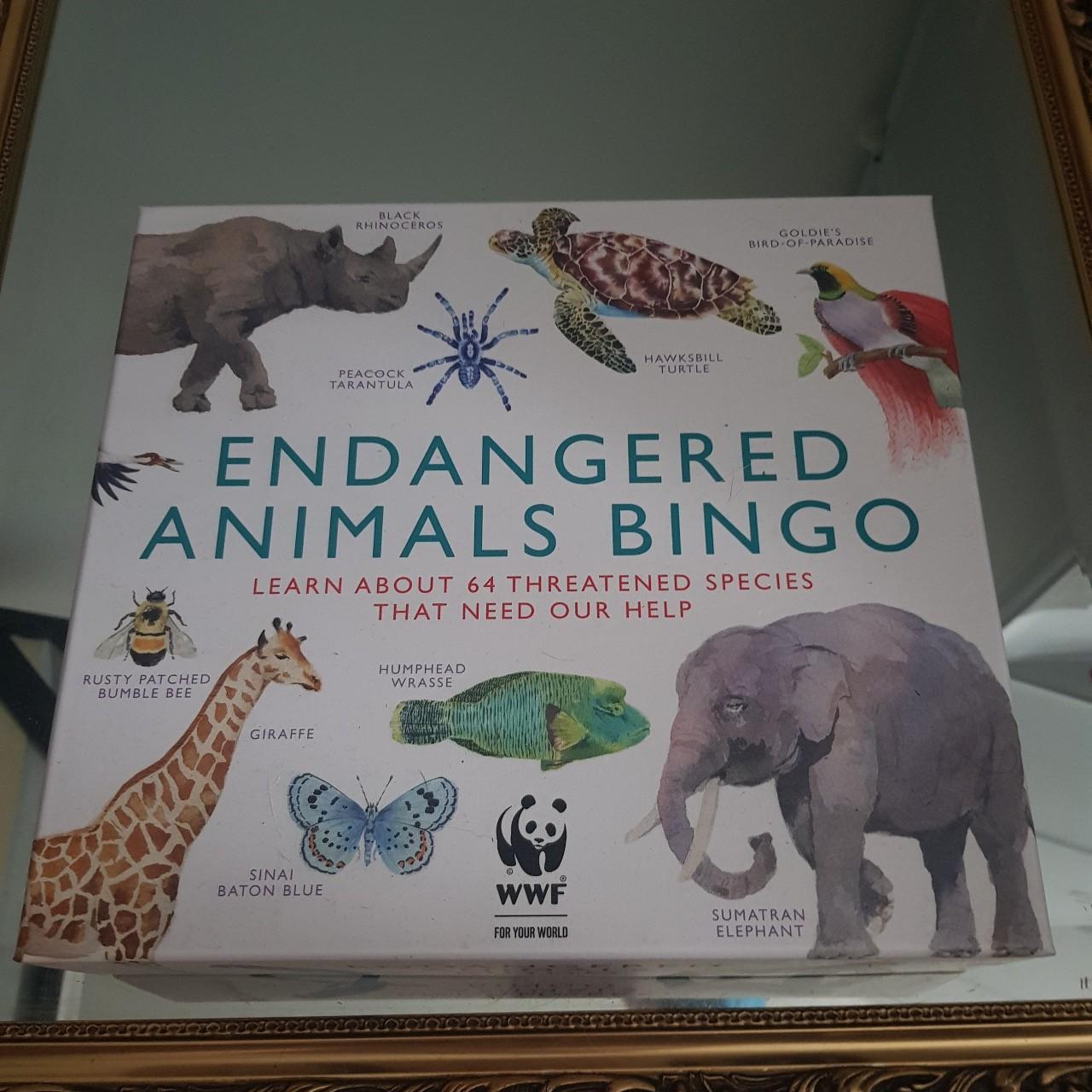 Endangered animals bingo. Great learning game for... - Depop