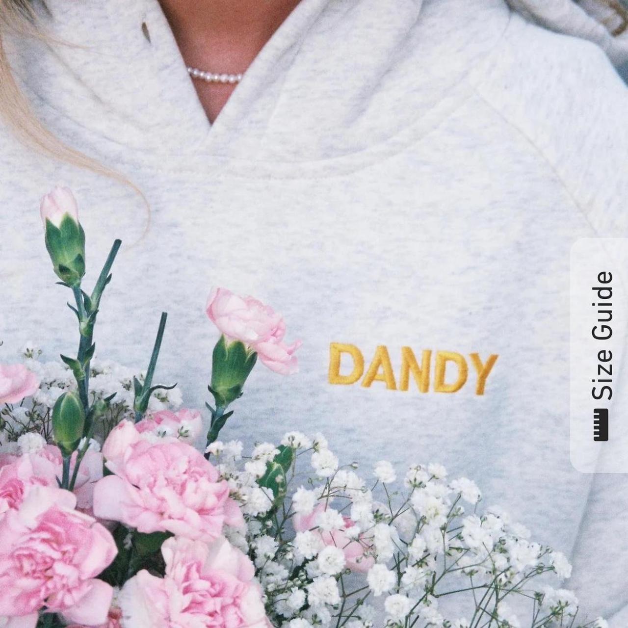 Dandy Worldwide Hoodie - Brand new: Size Medium -... - Depop