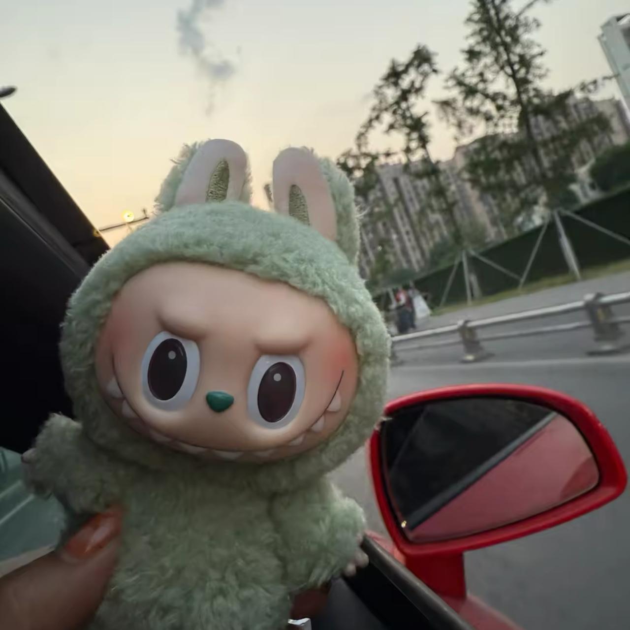 Macaron Labubu Green Grape Confirmed... | Depop