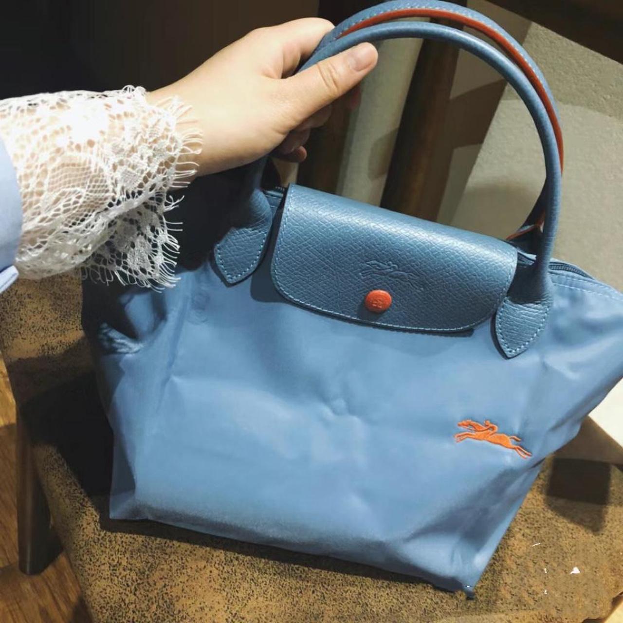 Longchamp purse blue color - Depop