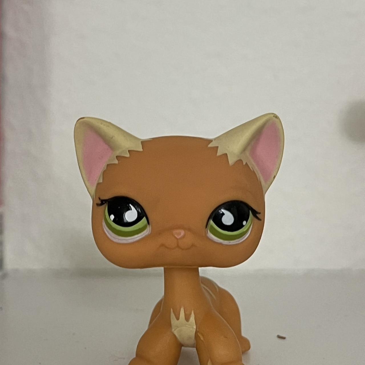 lps orange cat, great condition other than some very... - Depop