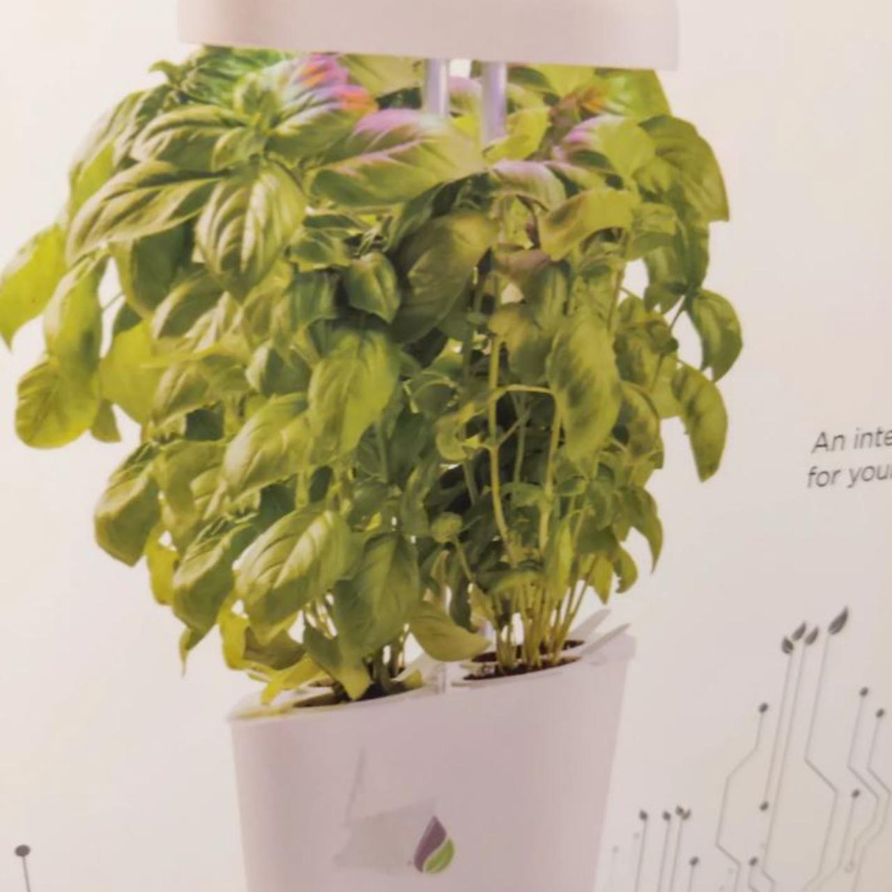 Urbigo home garden Never open Urbigo digital... - Depop