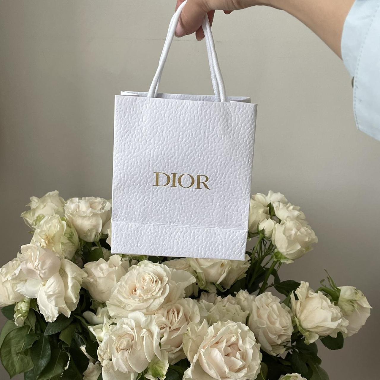 cute mini Dior shopping bag for jewelry/makeup like... - Depop